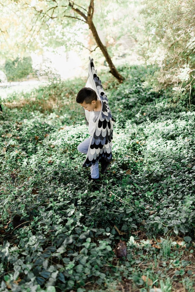 SARAH-TYAU-sadiebanksphotography-624 | Life is Beautiful